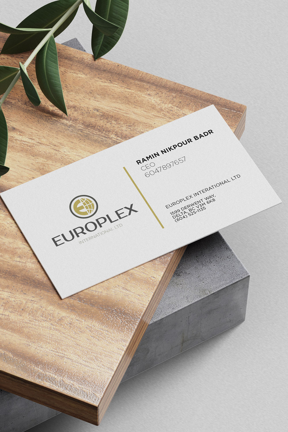 Europlex - Armin Gheytarani